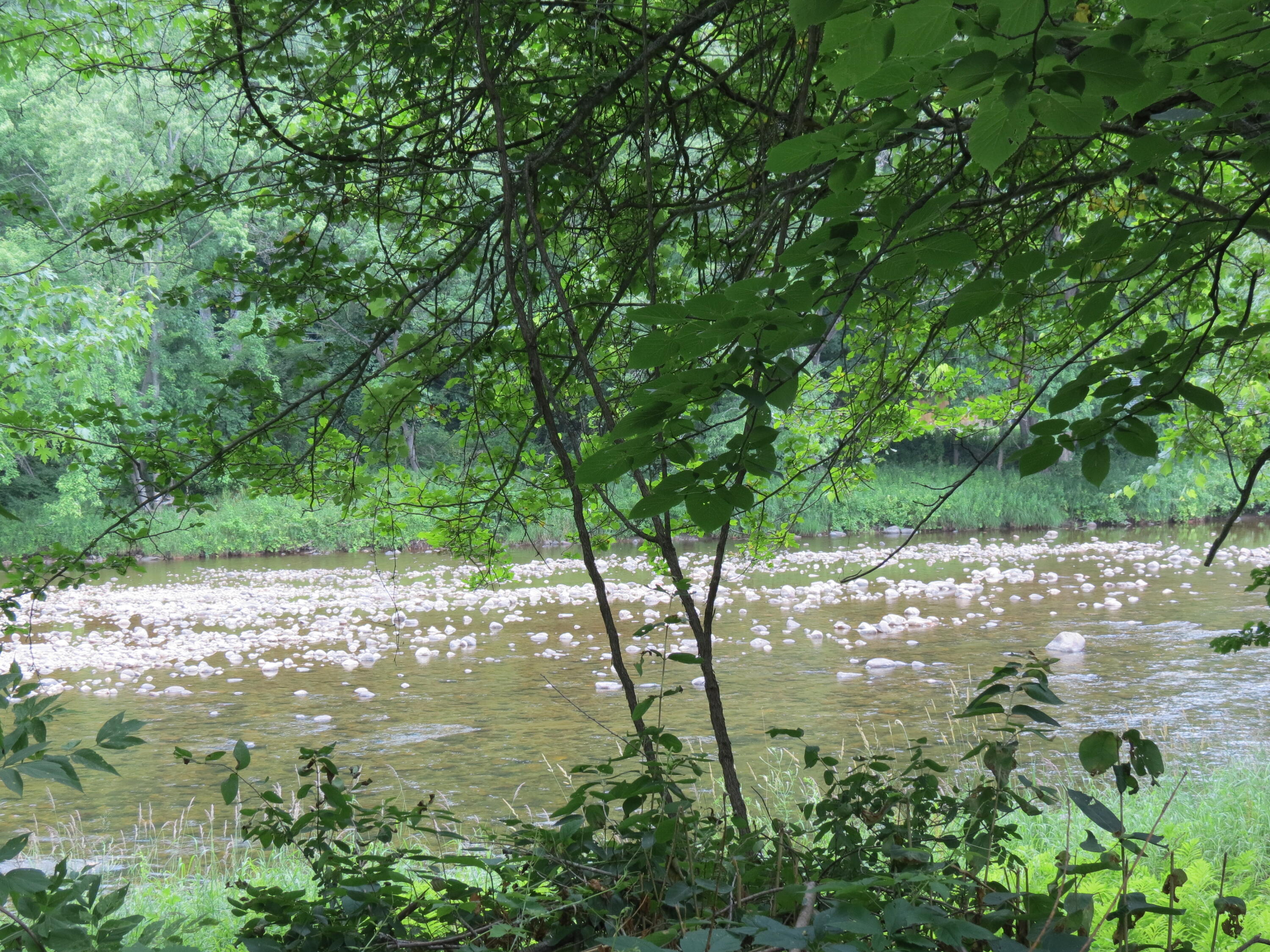 6 Intervale Ave. Avenue | B.A. Straight Real Estate